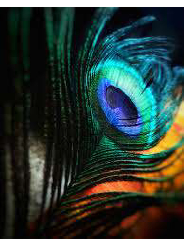 transferir (1) | PDF