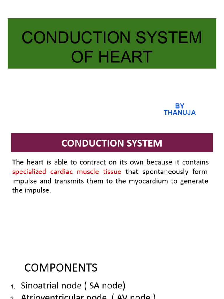 Heart Conduction System Explained | PDF | Heart | Ventricle (Heart)