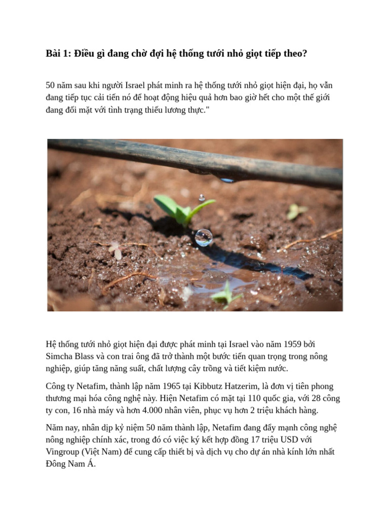 Isareal | PDF