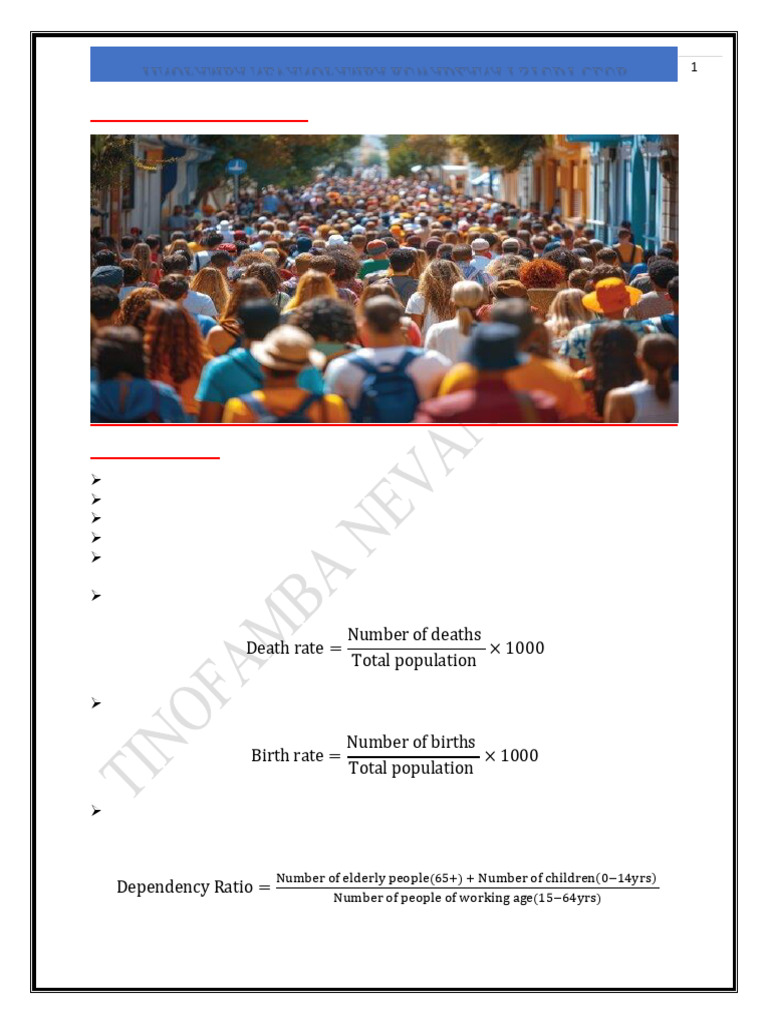 Geography Population Studies | PDF | Developing Country | Family Planning