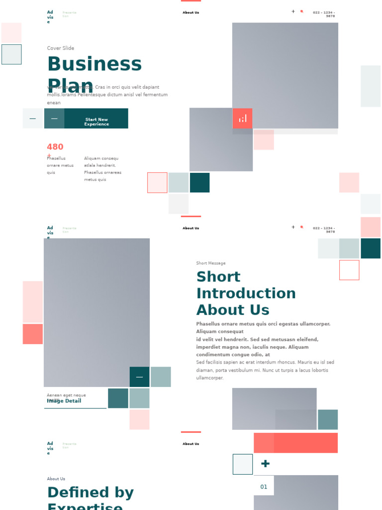 Advise - Business Plan (For Keynote) | PDF