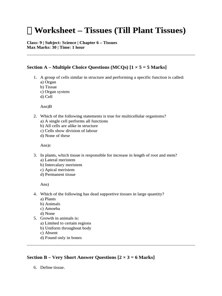 ? Worksheet Bio Tissues | PDF