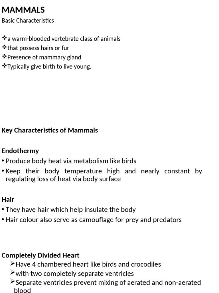 BL13 Summary of Mammals | PDF