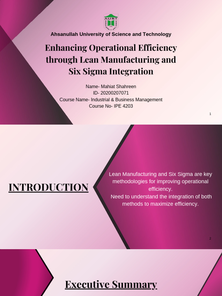 Enhancing Operational Efficiency | PDF | Six Sigma | Lean Manufacturing