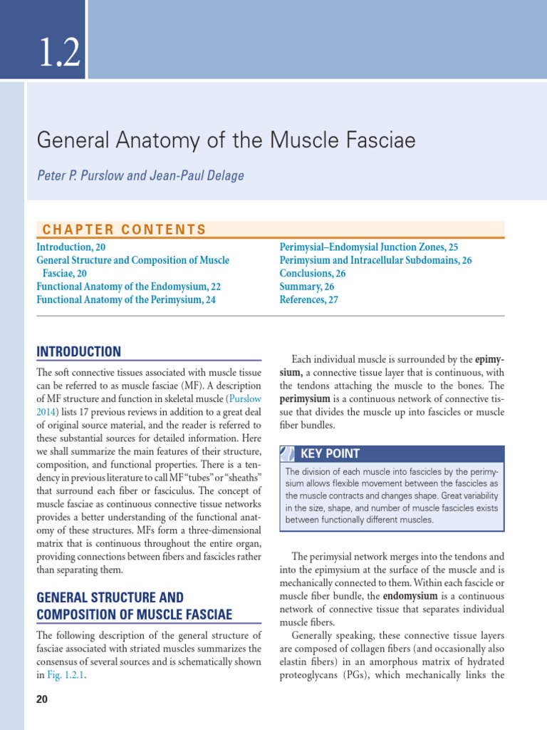 FASCIA The Tensional Network of The Human Body | PDF | Skeletal Muscle ...