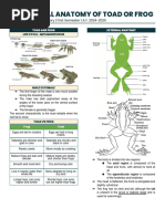 Frog Integumentary System Lab Guide | PDF | Skin | Epidermis