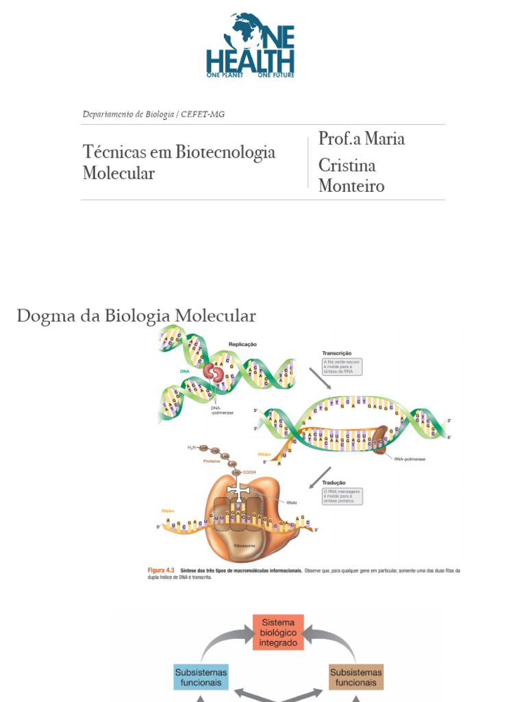 BIO MOL 2024 PCR Bio Mol Eletroforese Sequenciamento 2024 | PDF ...