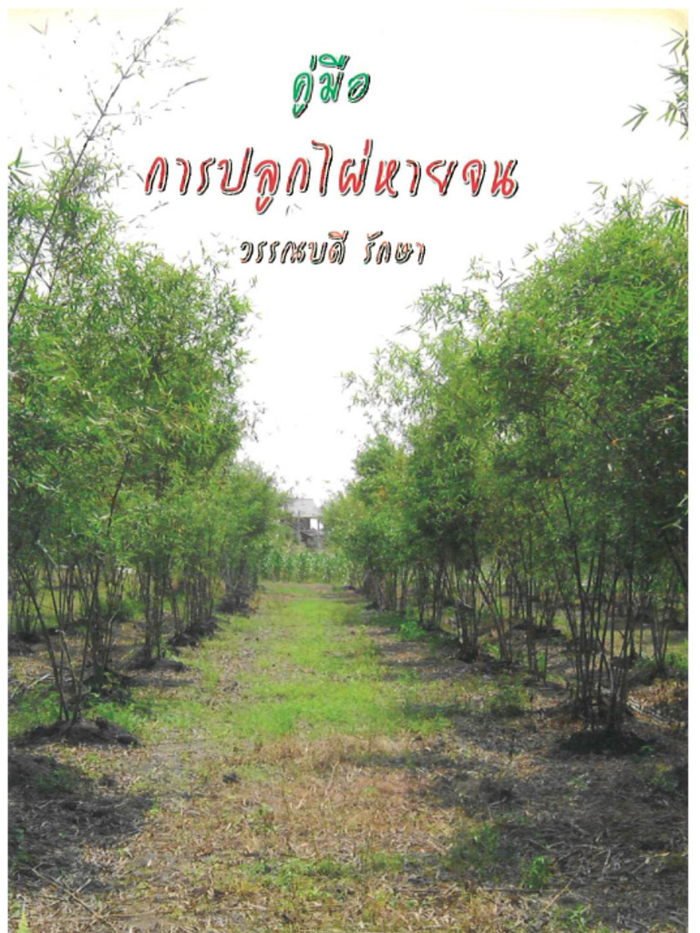 Bamboo Guidebook | PDF