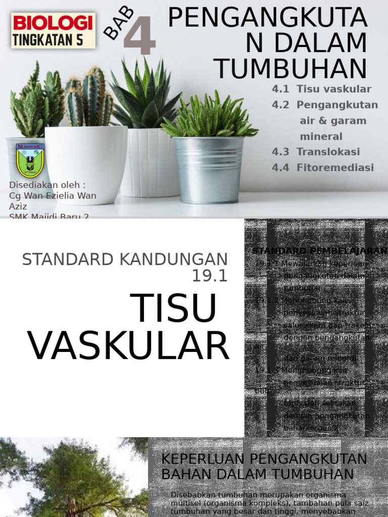 Bab 4 T5 | PDF
