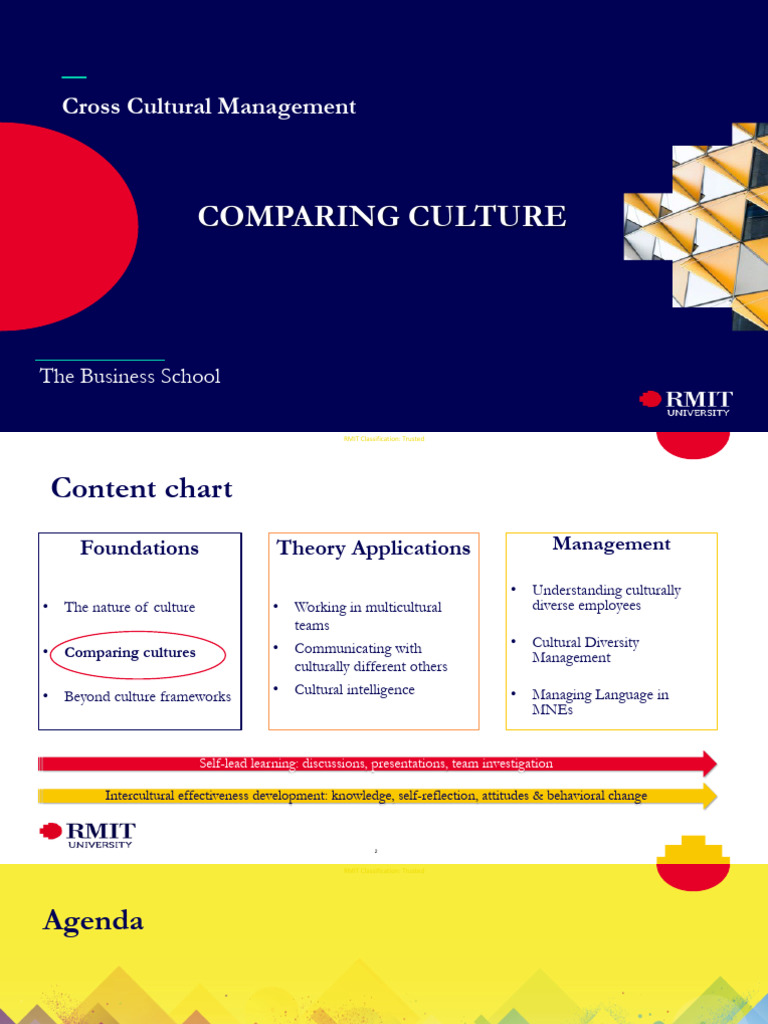 Cross-Cultural Management Insights | PDF | Behavioural Sciences ...