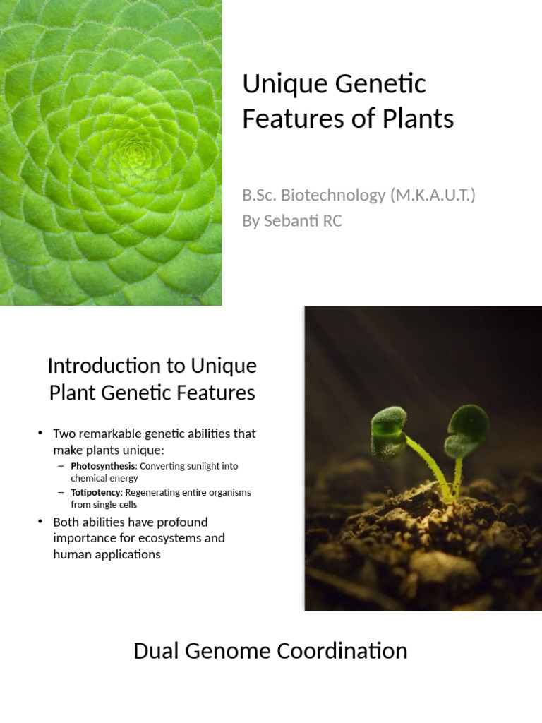 Unique Genetic Features of Plants Lecture | PDF | Chloroplast ...