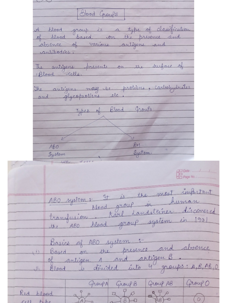 Blood Group | PDF