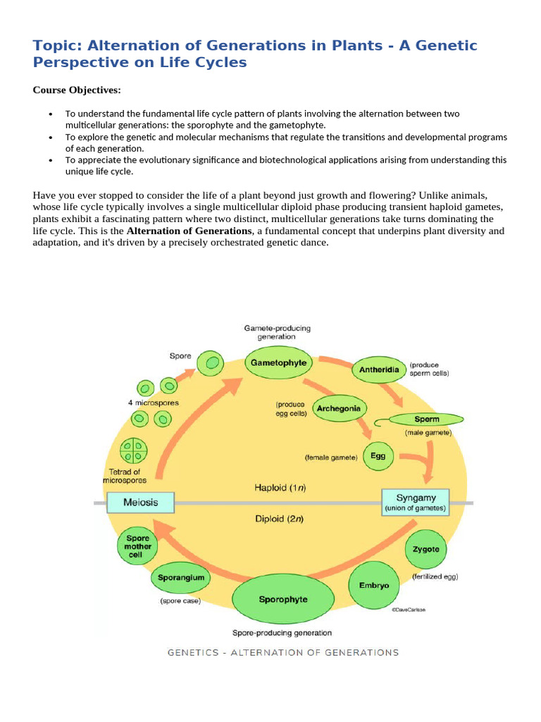 Plant Life Cycles: Alternation of Generations | PDF | Sexual ...