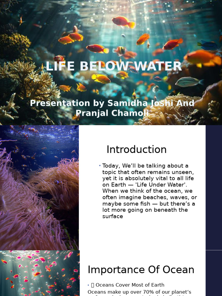 Protecting Life Below Water | PDF | Oceans | Coral Reef