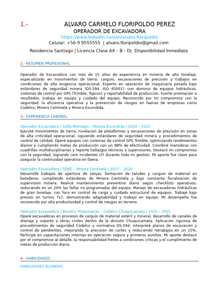 CV Plantilla Formato Harvard | PDF