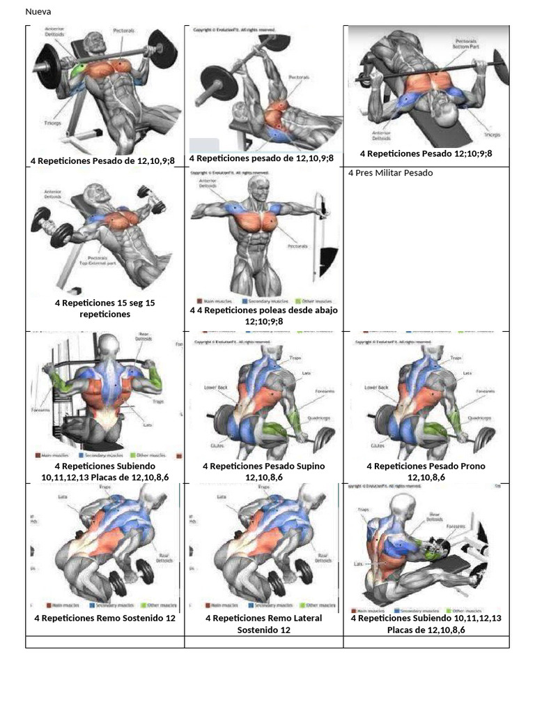 Rutina de Gym 1 | PDF