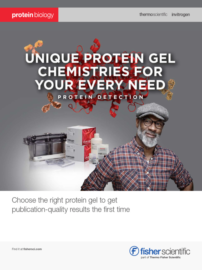 Selecting Optimal Protein Gels | PDF | Gel Electrophoresis | Western Blot