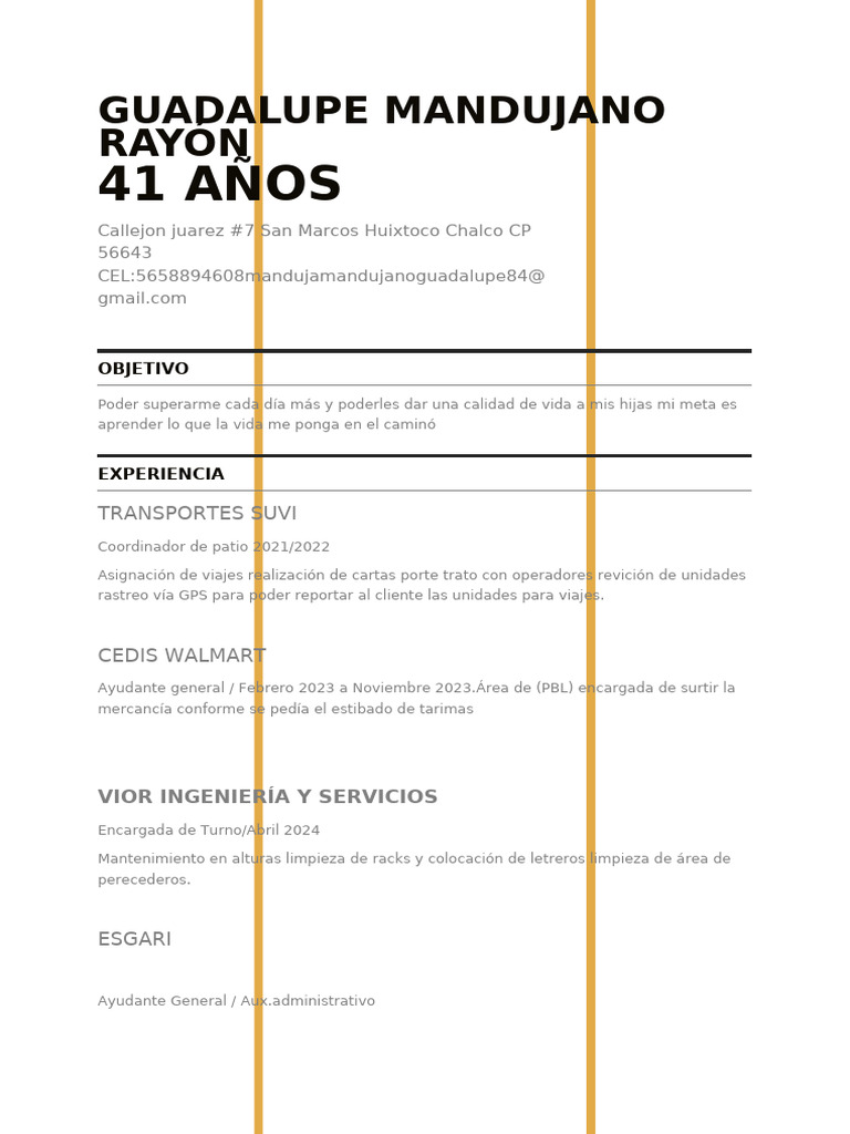 CV Ana | PDF