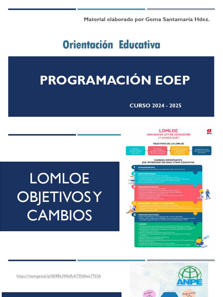 Programación EOEP 2024-2025: Guía Completa | PDF | Evaluación | Aprendizaje