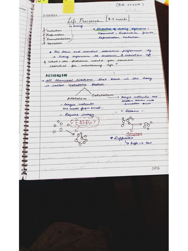 Life Processes Class 10 Handwritten Notes | PDF