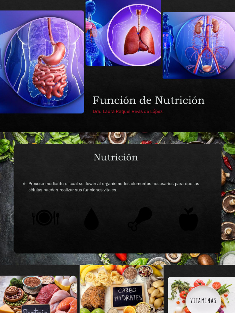 Función de Nutrición | PDF