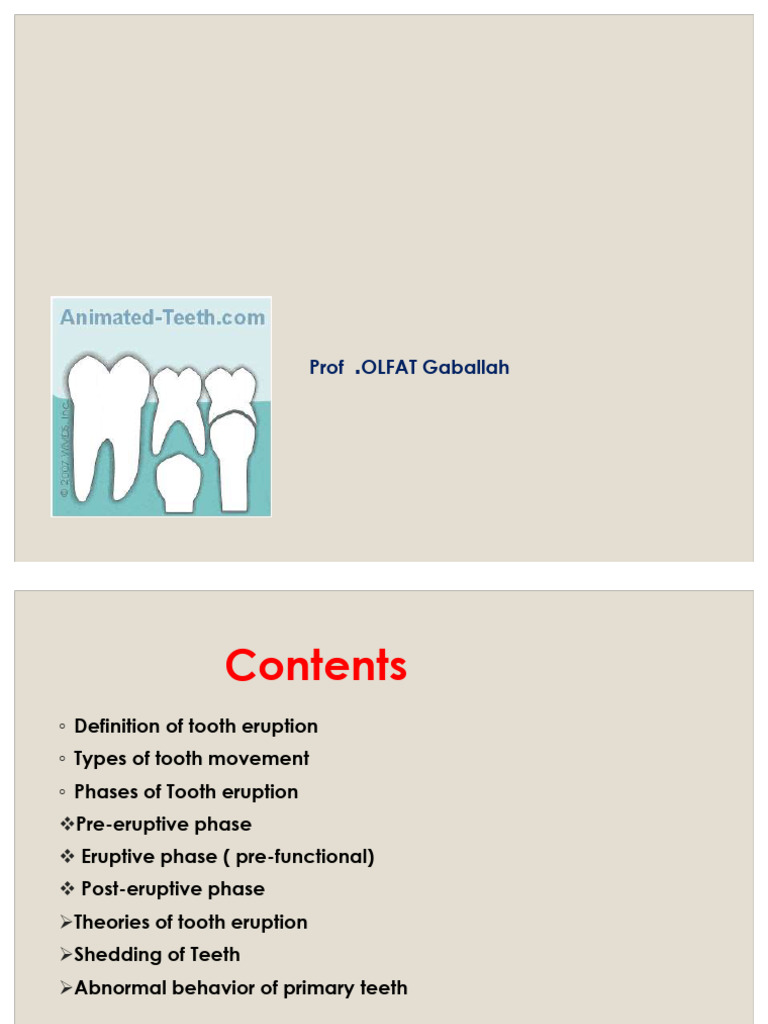 Tooth Eruption and Shedding Explained | PDF | Human Tooth | Dental Anatomy