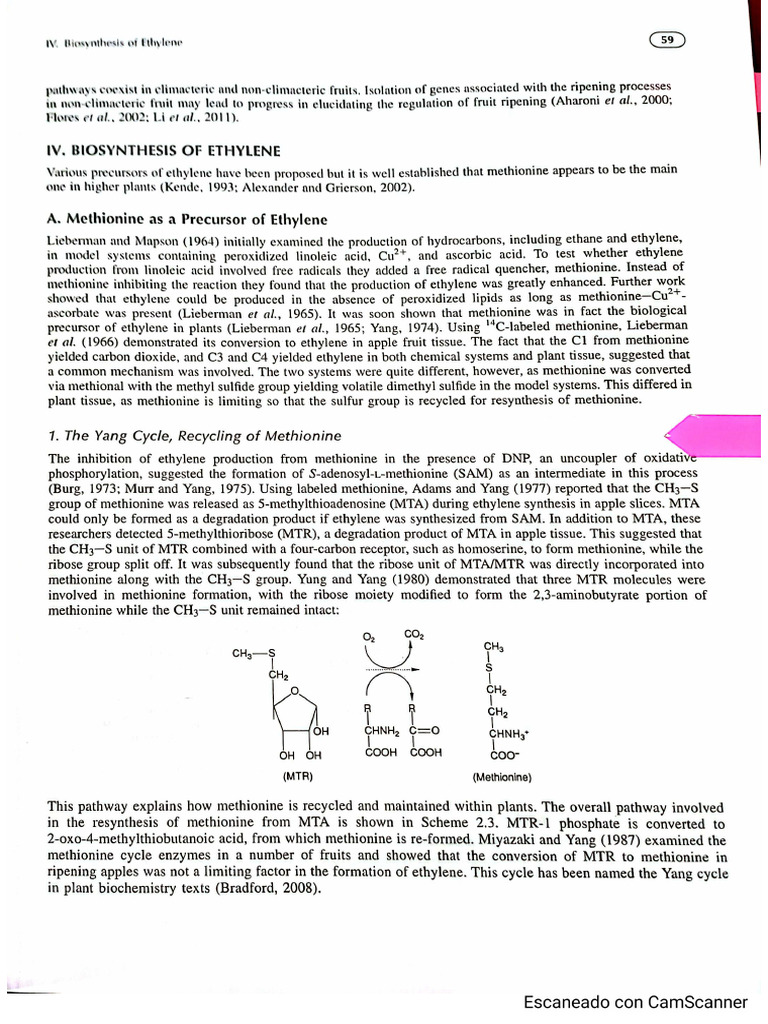 Biochemistry of Foods | PDF