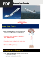 Spinal Cord Ascending and Descending Tracts | PDF | Spinal Cord ...