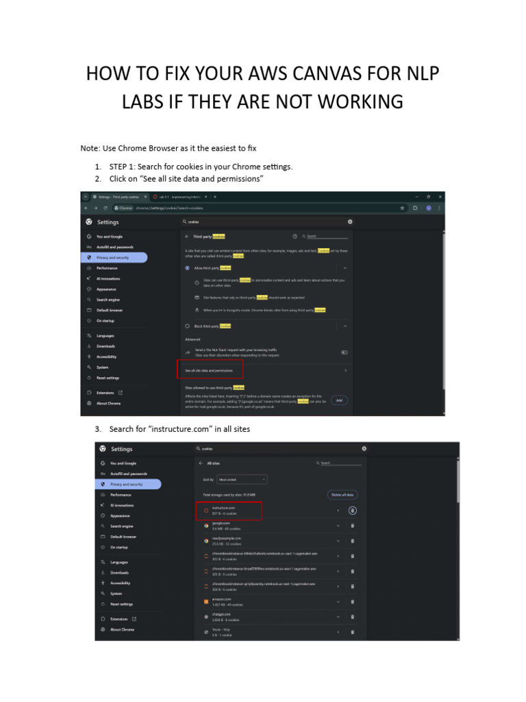 How To Fix Your Aws Canvas For NLP Labs If They Are Not Working | PDF