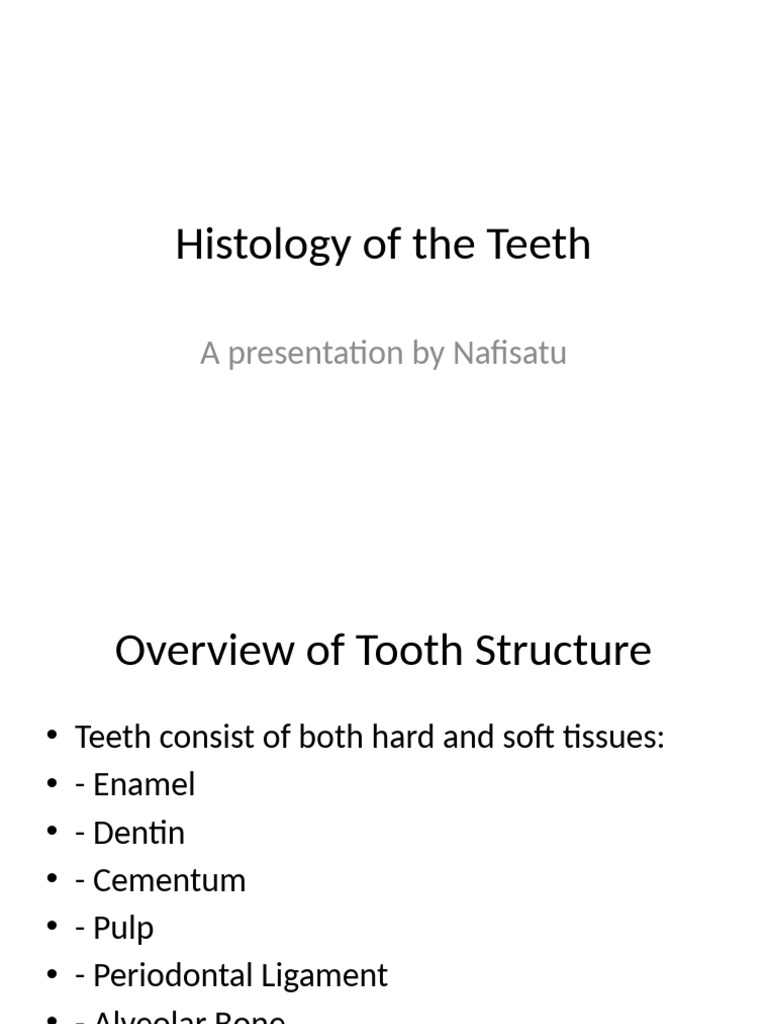 Teeth Histology Presentation | PDF