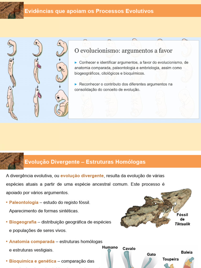 Evidências da Evolução Divergente e Convergente | PDF | Evolução | Espécies