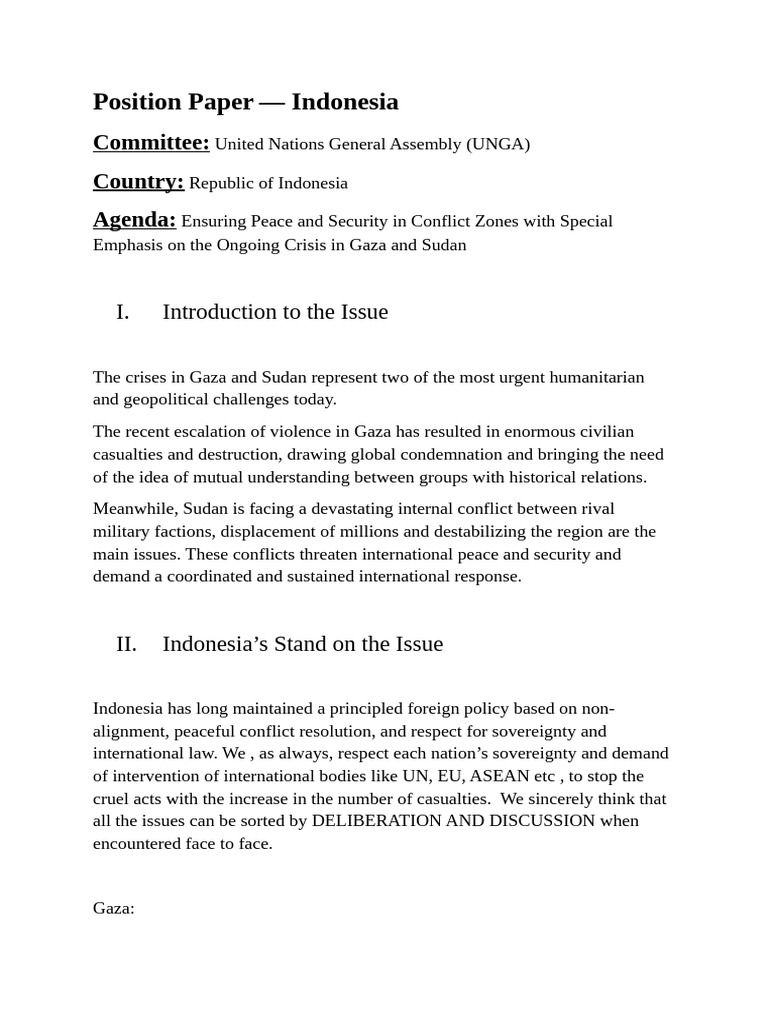 Indonesia's Position on Gaza and Sudan Crises | PDF | United Nations ...