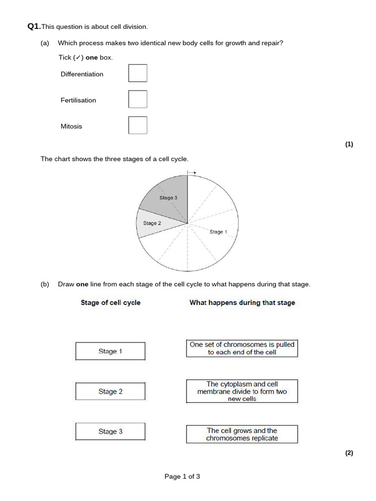 HW1 Cell Structure and Cell Cycle | PDF | Cell (Biology) | Genetics
