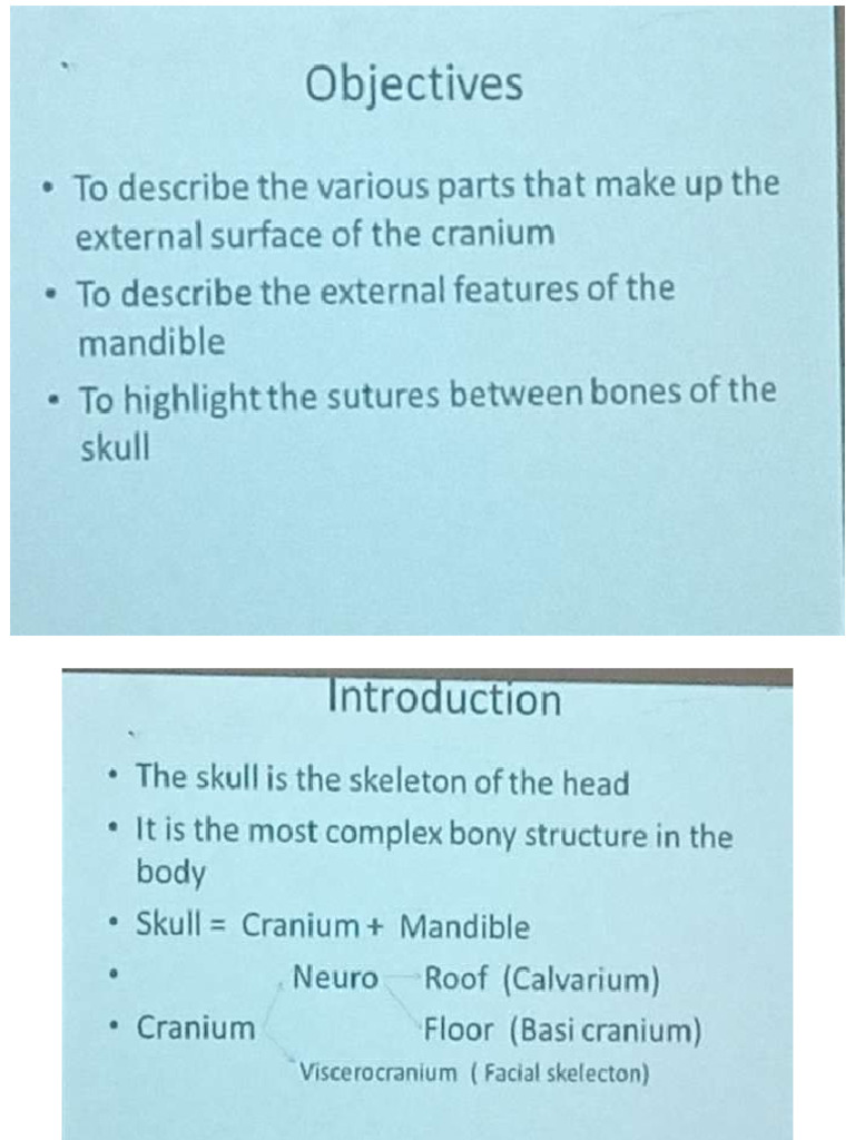 Head - Neck - Intro | PDF