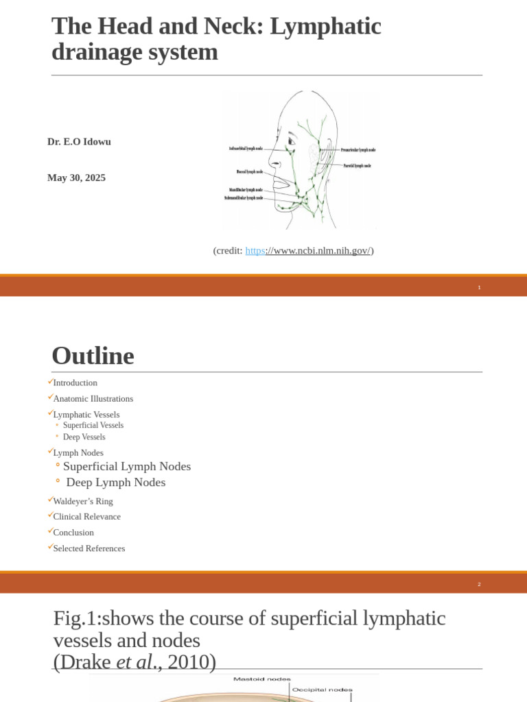 Deep Cervical Lymph Node Drainage | PDF | Lymph | Neck