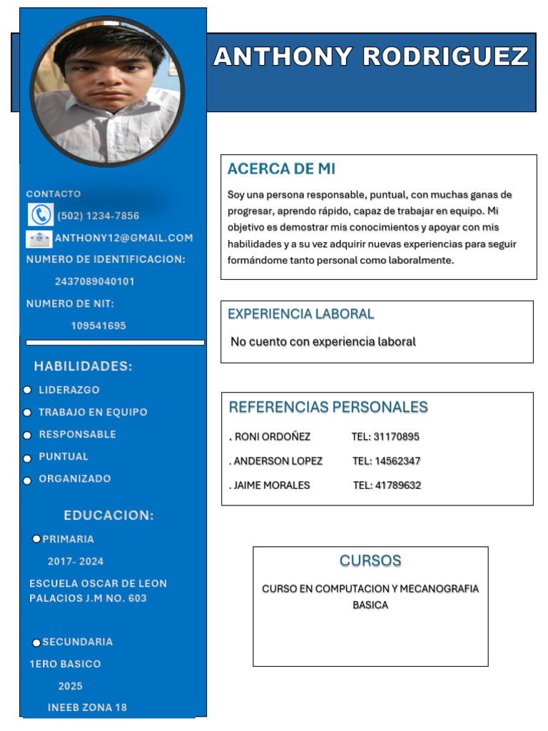 Curriculum Anthony | PDF