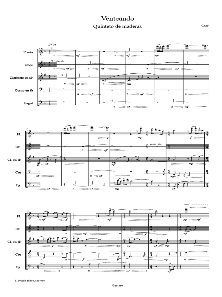 Venteando - Woodwind Quintet | PDF