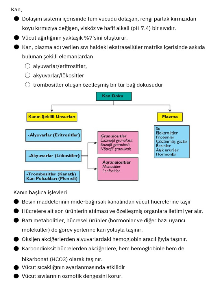 Histoloji Ünite 6 | PDF