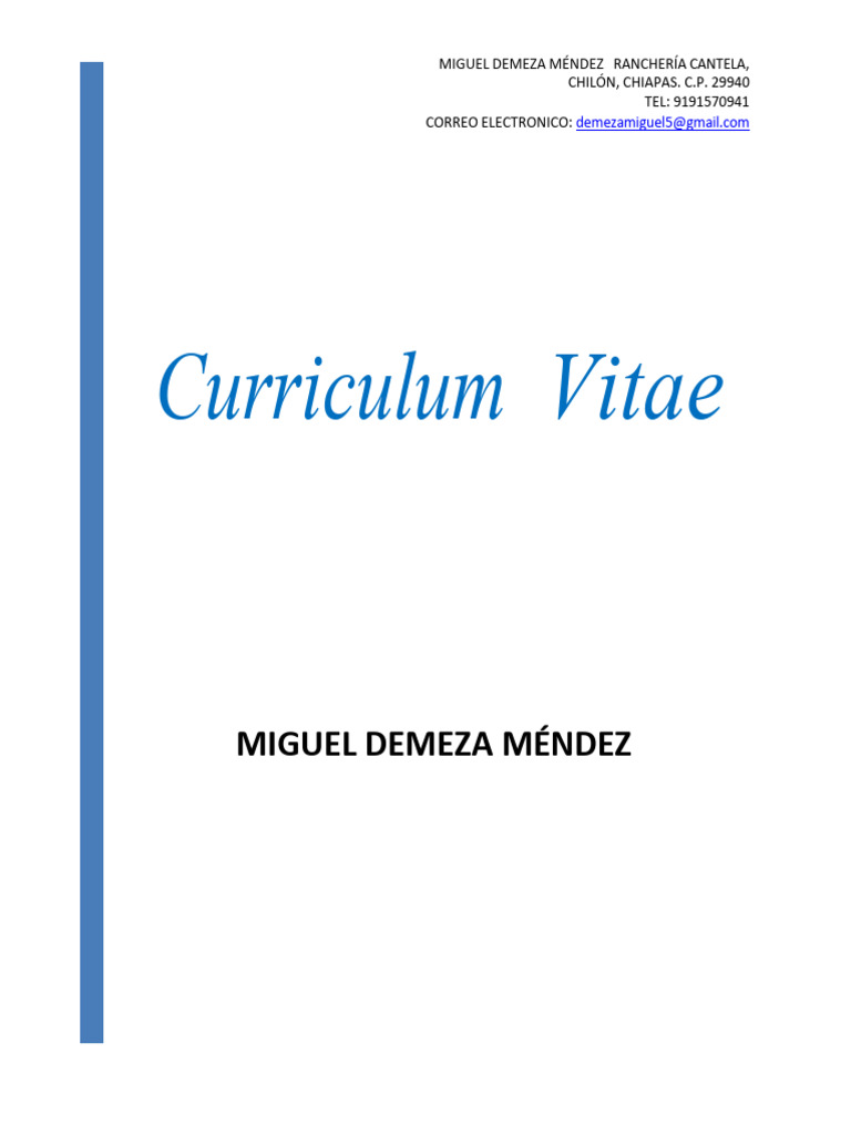 Curriculum Vitae Miguel | PDF