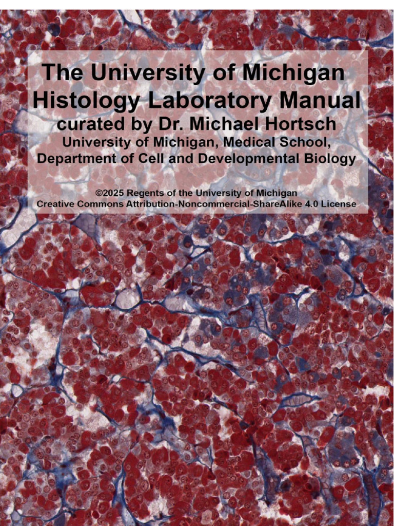 Michigan Histology Laboratory Manual | PDF | Epithelium | Endoplasmic ...