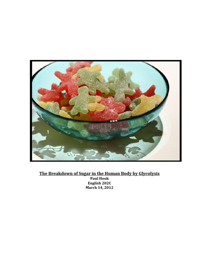 The Breakdown of Sugar in The Human Body by Glycolysis: Paul Hook ...