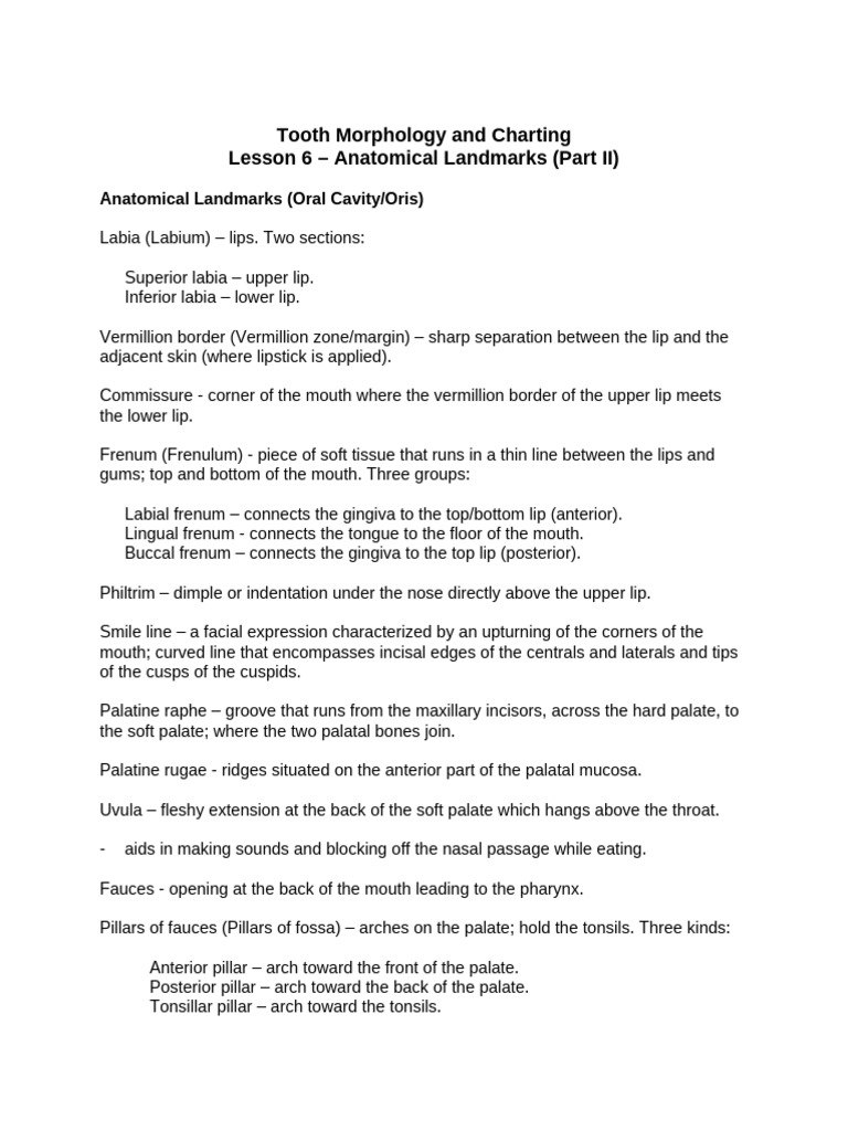 Lesson 6 Notes | PDF | Lip | Mouth