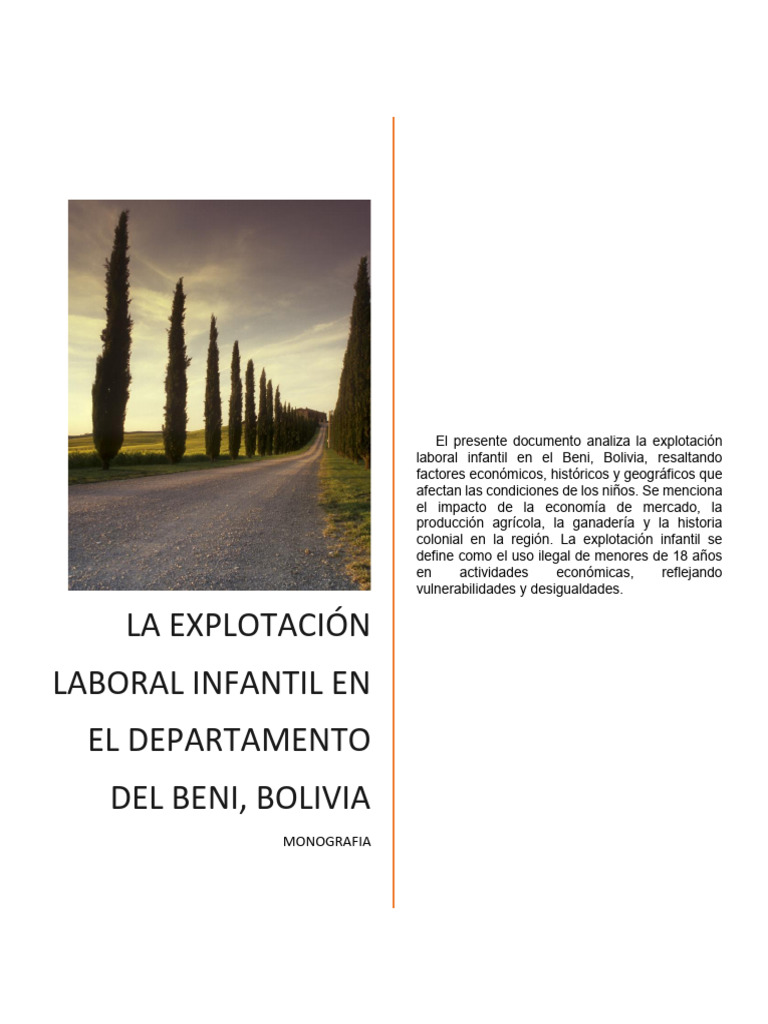La Explotación Laboral Infantil en El Departamento Del Beni Yudit | PDF ...