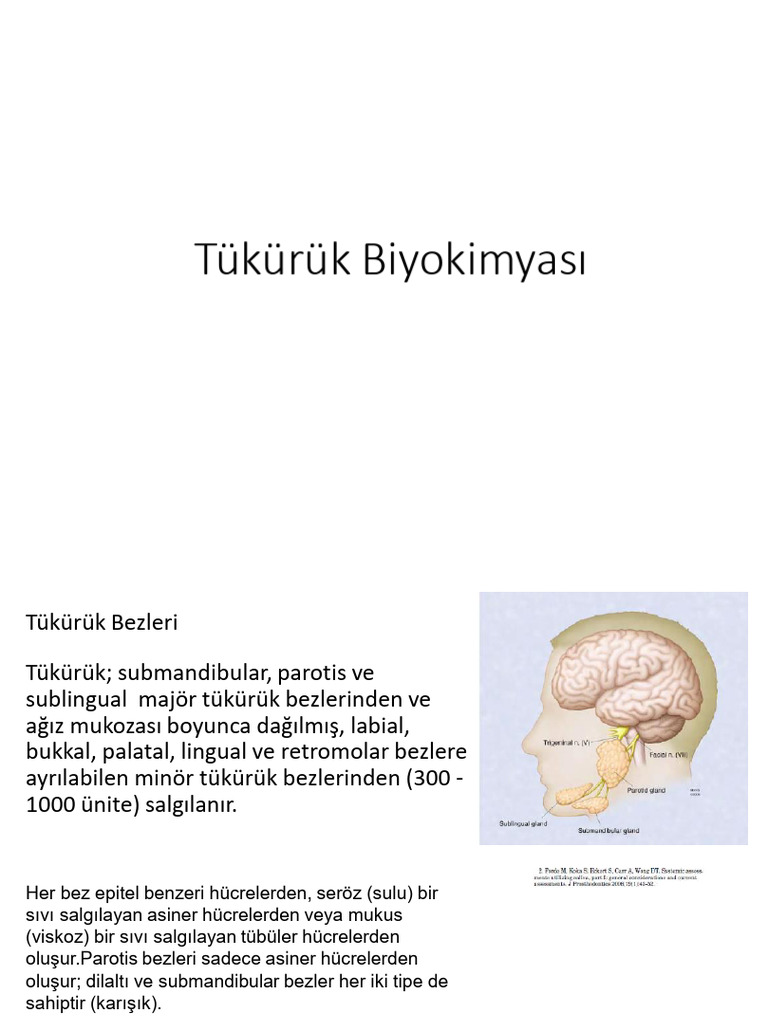 1 - Tã Kã Rã K Ve Ã Zellikleri (1) (2 Files Merged) | PDF