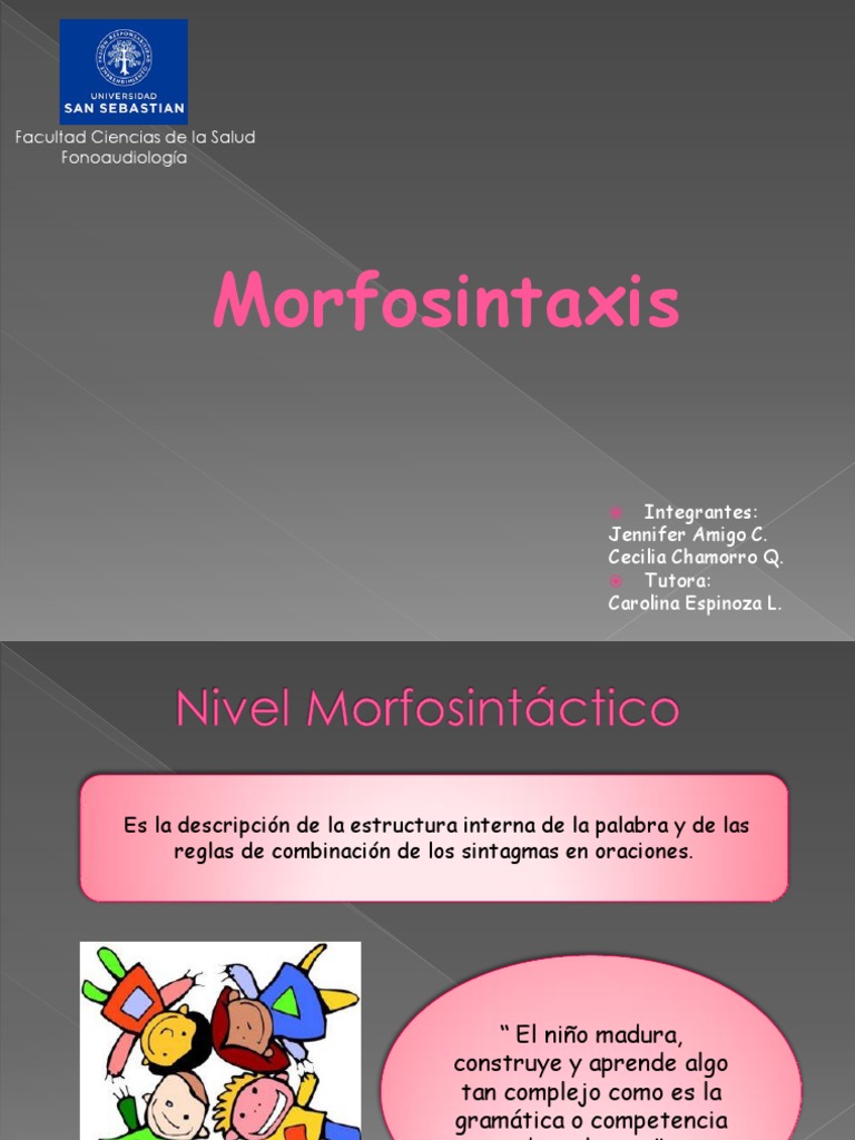 morfosintaxis | Sustantivo | Número gramatical