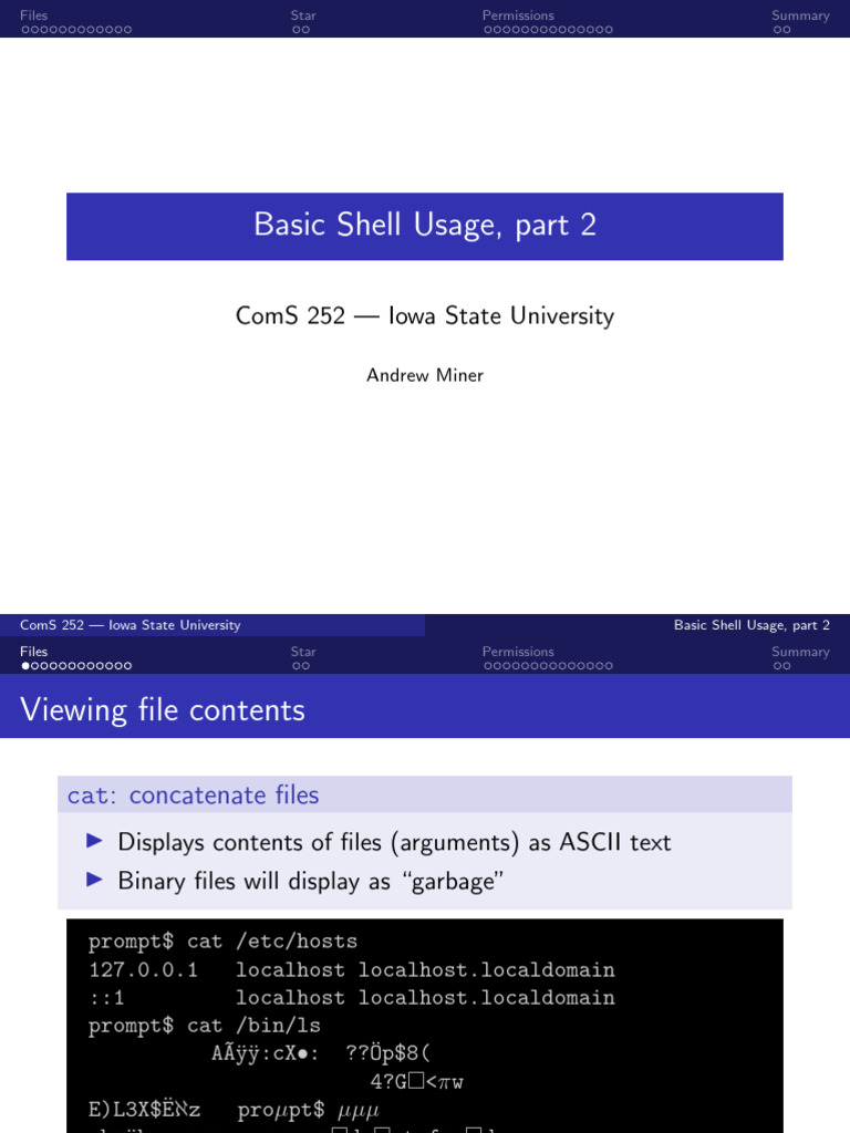 03 BasicShell2.summary | PDF | Computer Data