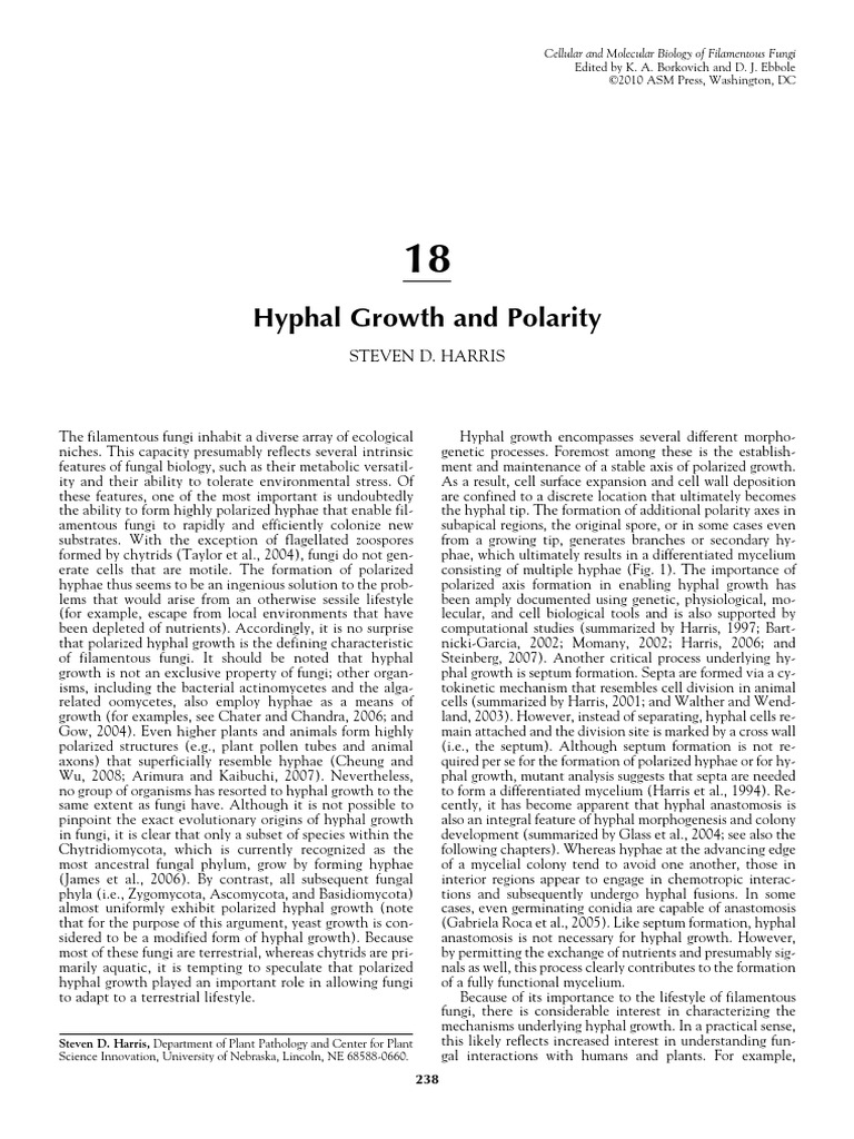 Hyphal Growth and Polarity | PDF | Fungus | Actin