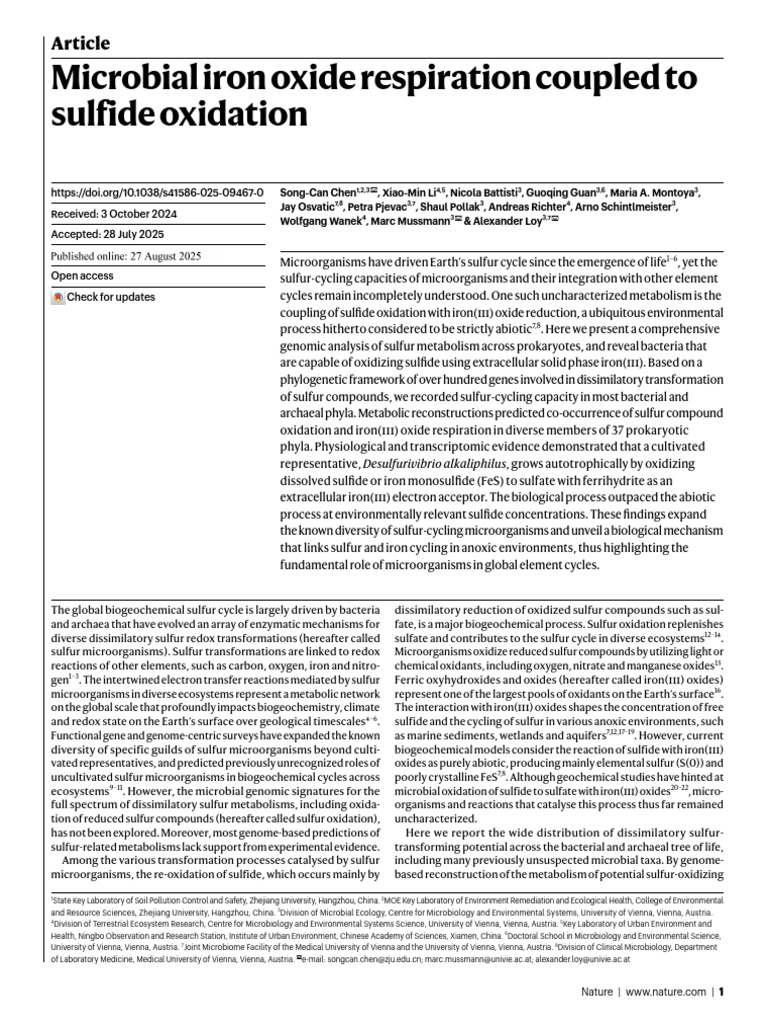 Microbial Iron and Sulfur Cycling Insights | PDF | Archaea | Sulfur