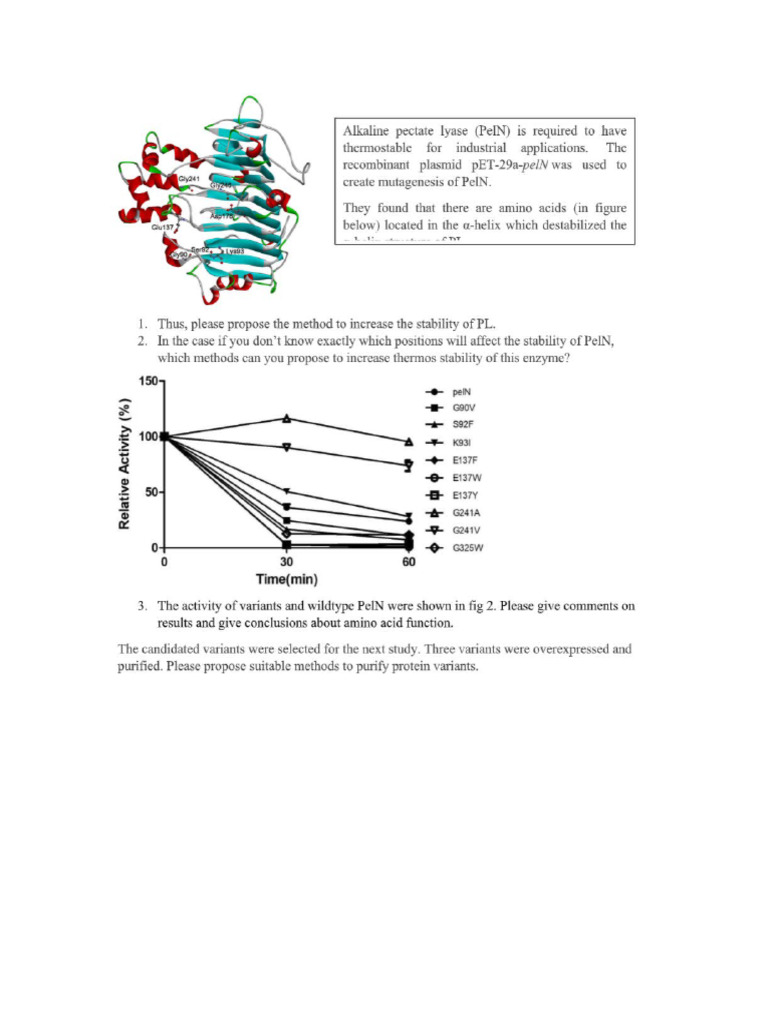 Protein Engineering Exam Nga | PDF