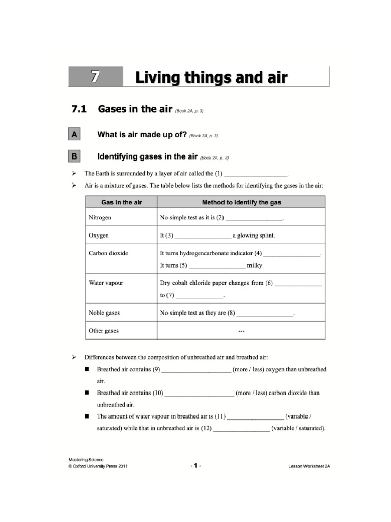 Science Topic 7 Summary | PDF